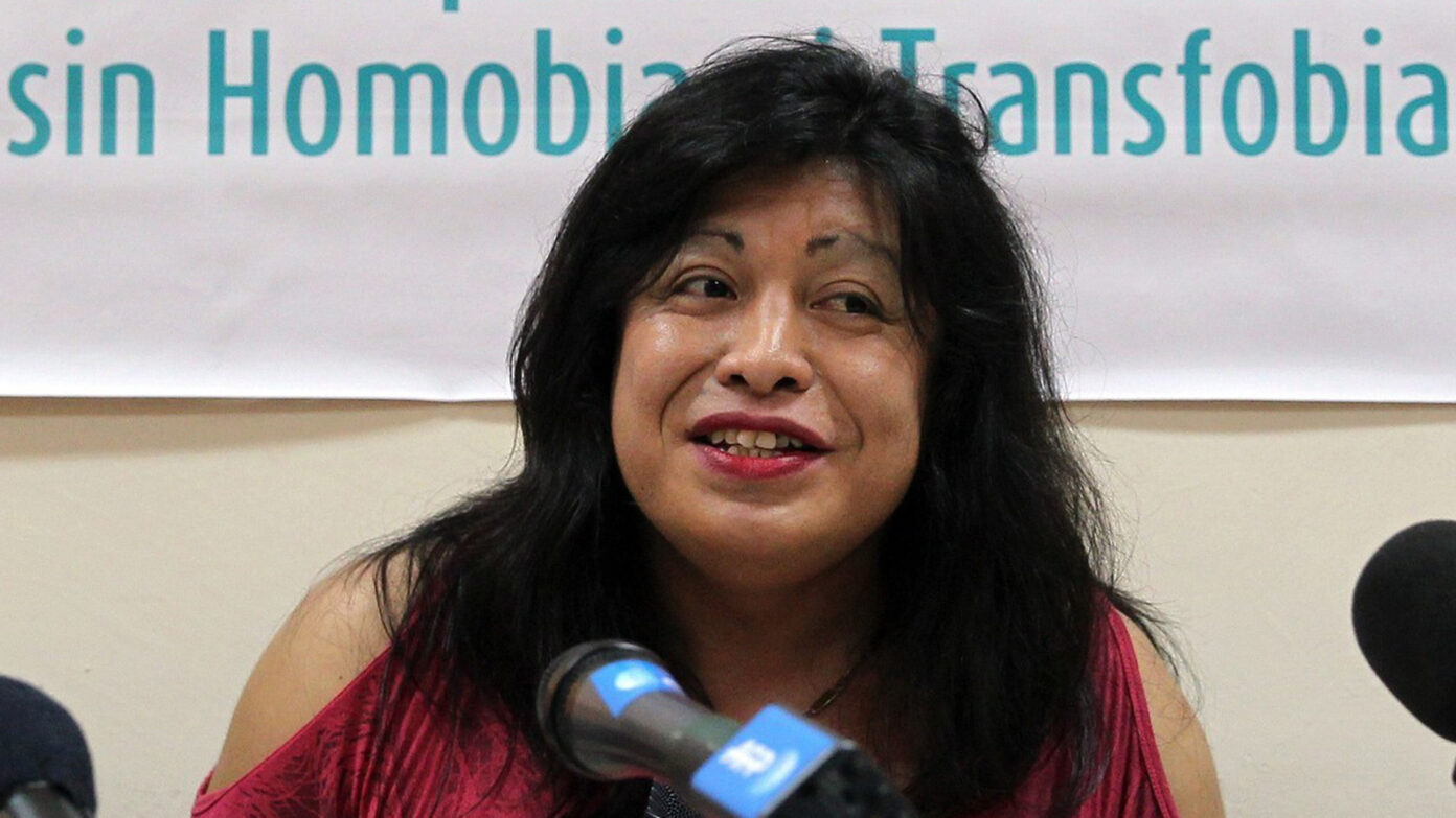 La comunidad travesti-trans en la Argentina, un historia de lucha | Diario Publicable